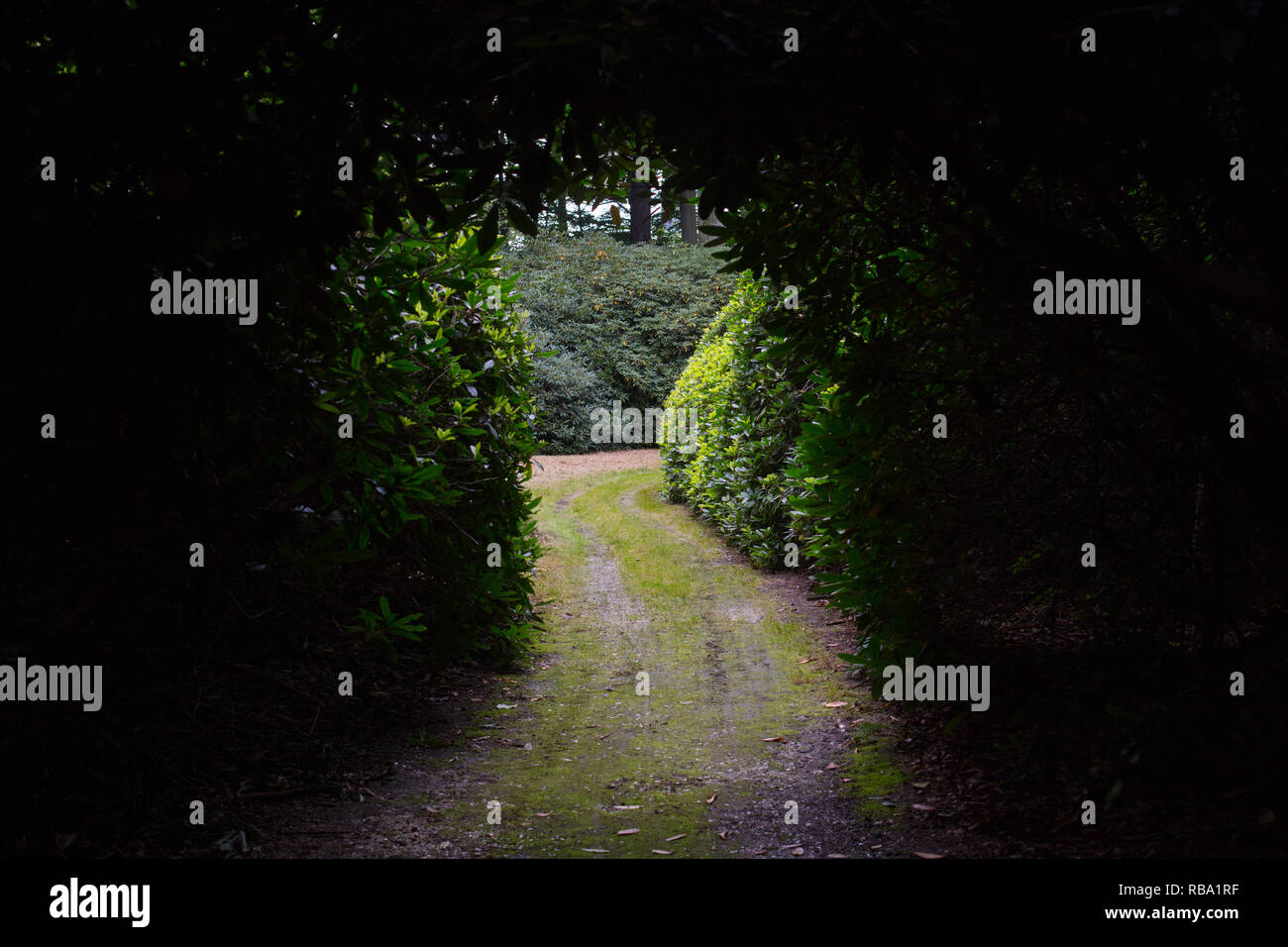 Forming a path hi-res stock photography and images - Alamy
