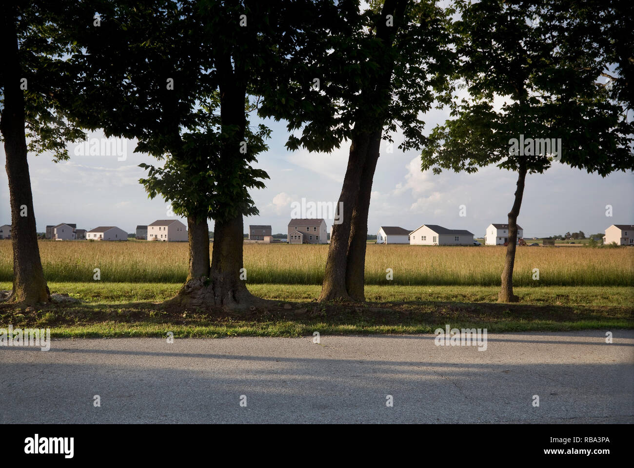 Open field with houses hi-res stock photography and images - Alamy
