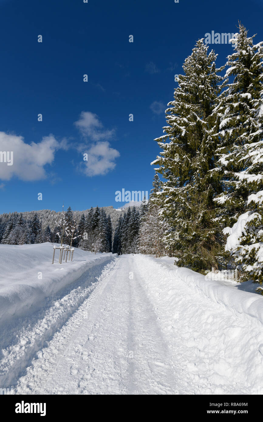 Path in winter, Elmau, Garmisch-Partenkirchen, Upper Bavaria, Bavaria ...