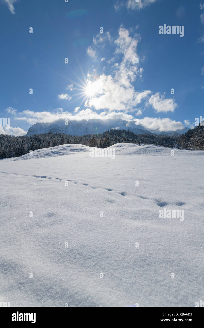 Winter landscape with sun, Elmau, Garmisch-Partenkirchen, Upper Bavaria ...