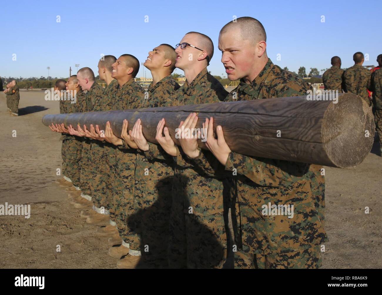 Logdrill hi-res stock photography and images - Alamy