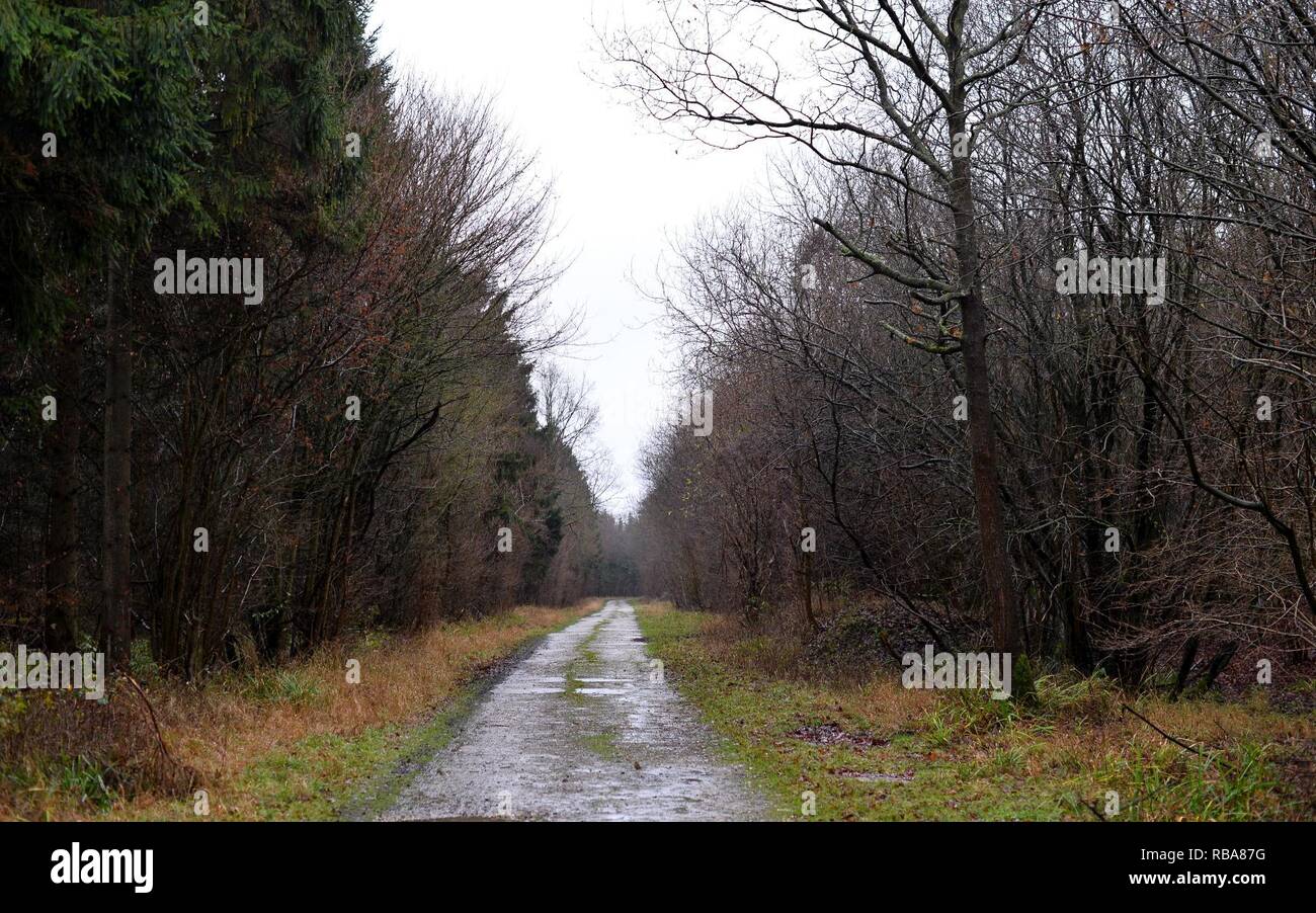 Nuthampstead’s World War II flightline is slowly being eroded by ...