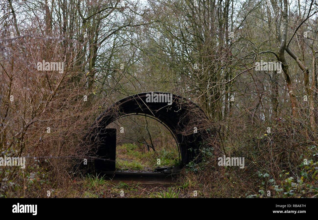 World War II Nissen huts can be seen through thick overgrowth of trees ...
