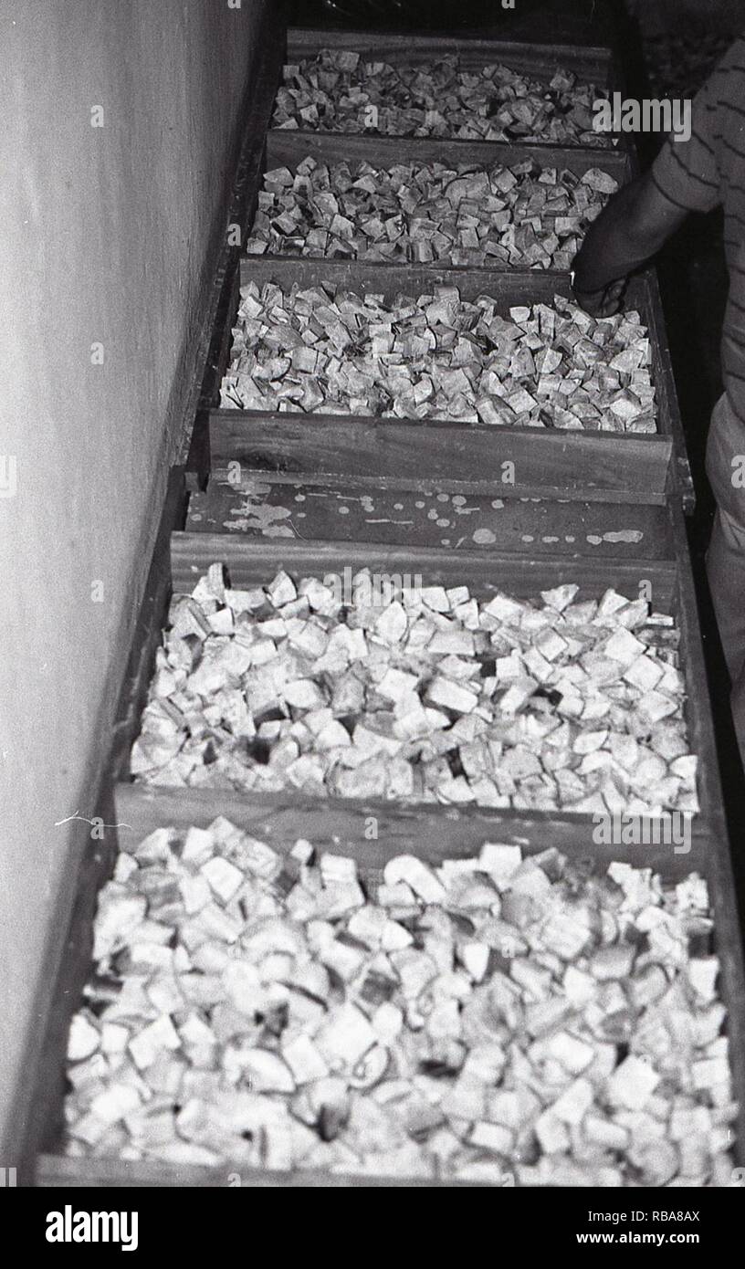 CUT UP FOOD IN BINS Stock Photo - Alamy