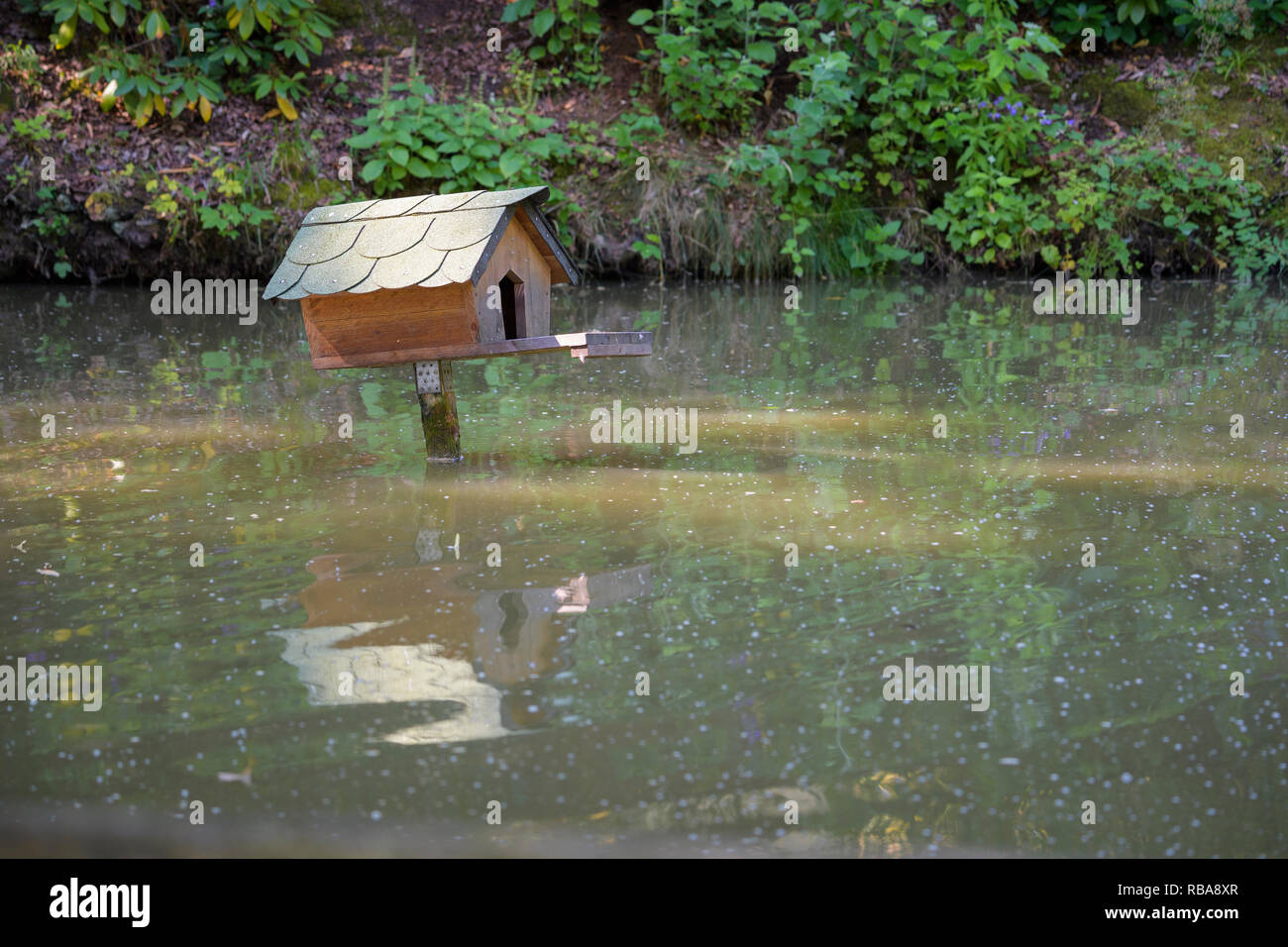 Duck nesting box in hi-res stock photography and images - Alamy