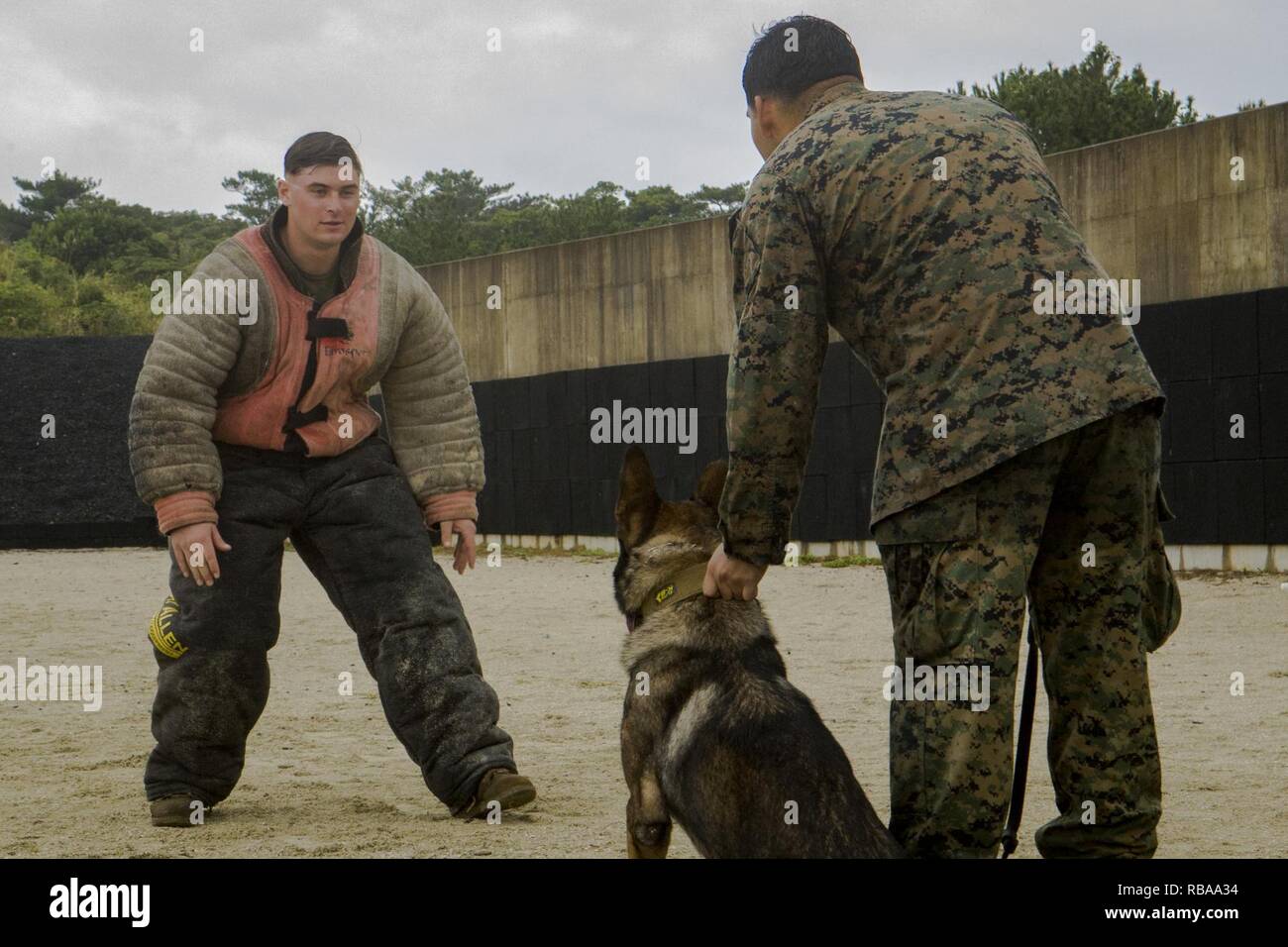 Lance Cpl. Sergio Becerra, a canine handler with Command Element, 31st ...