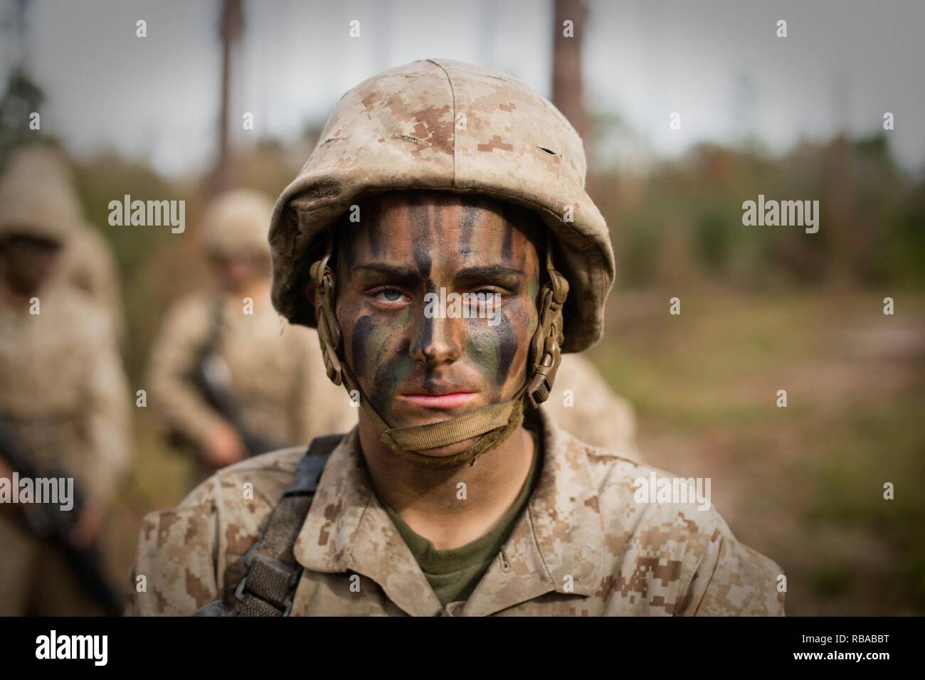 12 4001 hi-res stock photography and images - Alamy