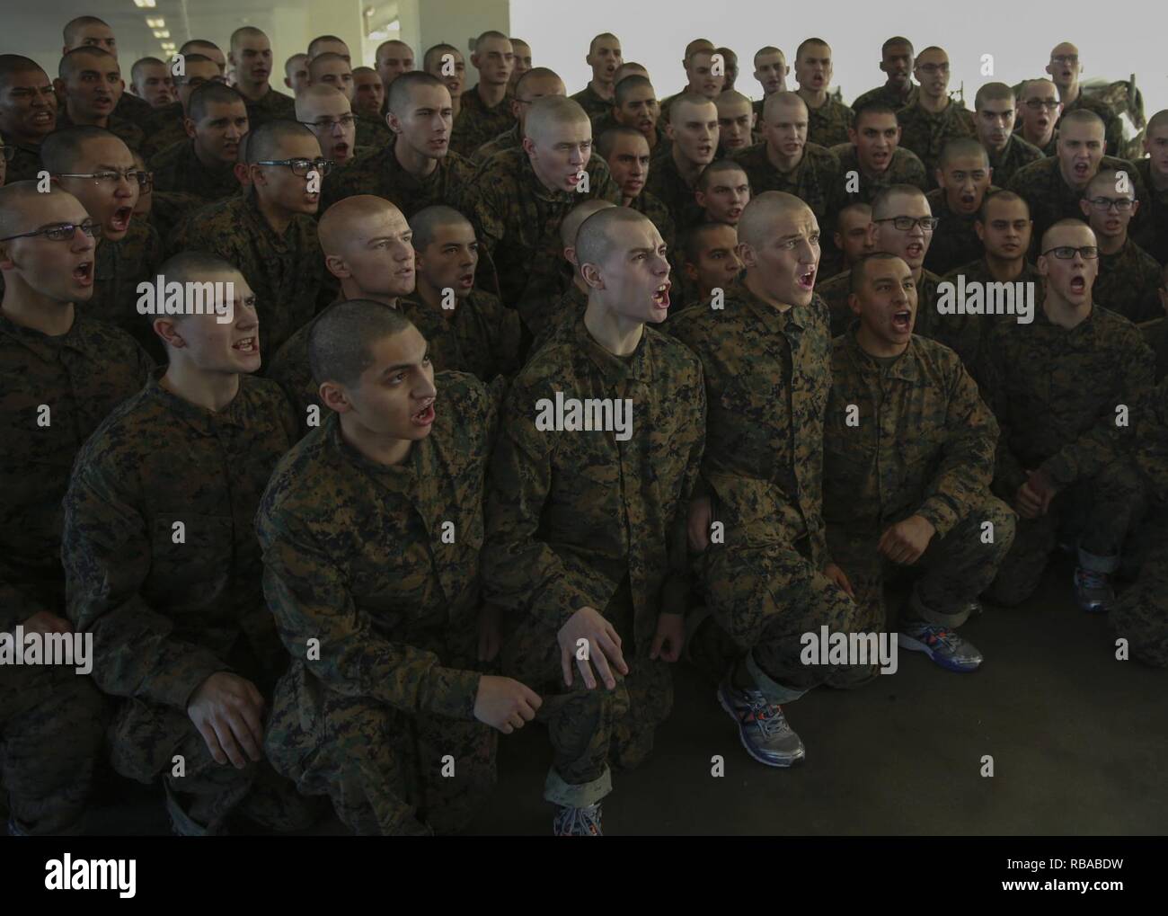 Recruits from Mike Company, 3rd Recruit Training Battalion, receive ...