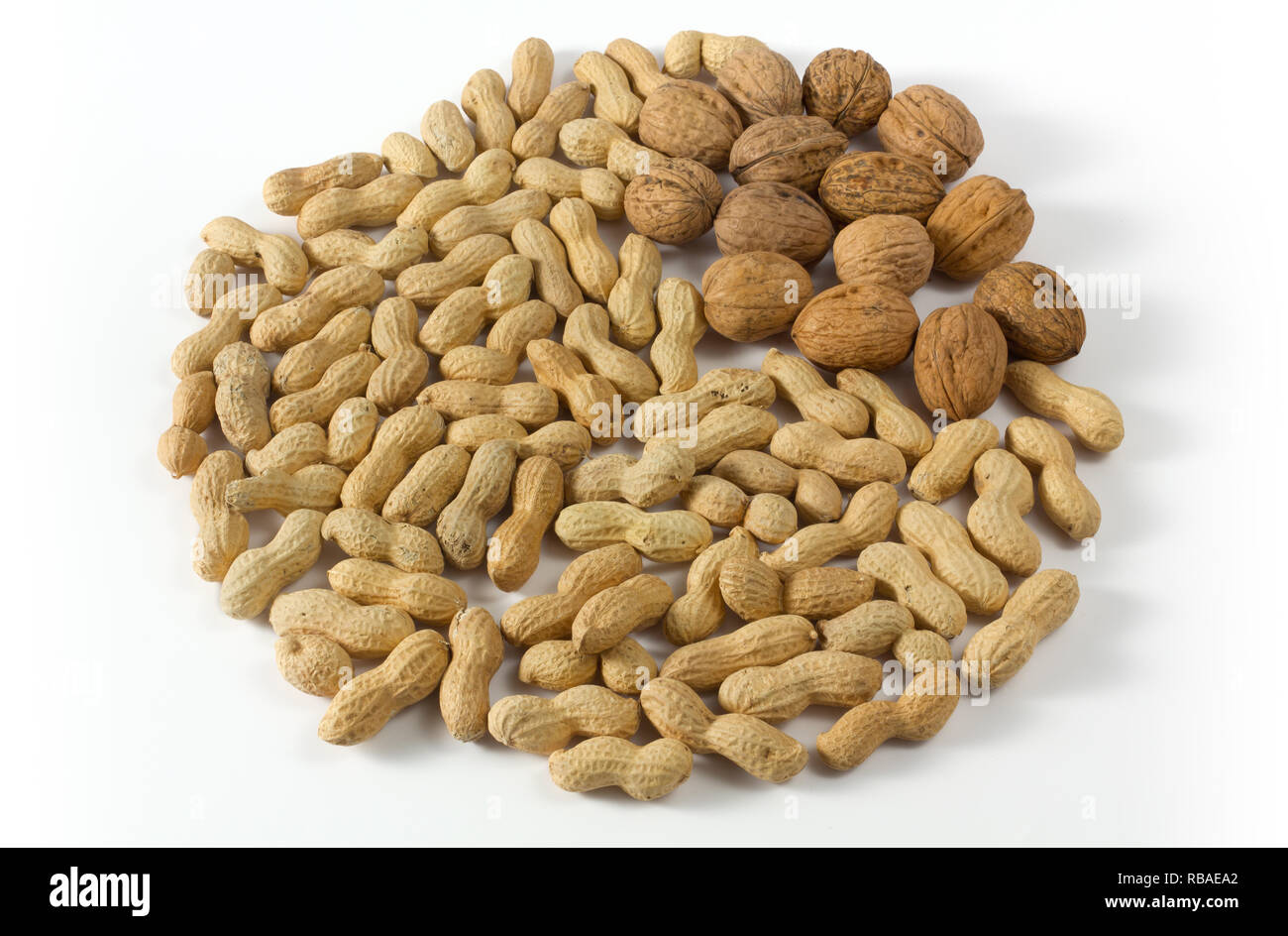 Shelling Peanuts High Resolution Stock Photography and Images - Alamy