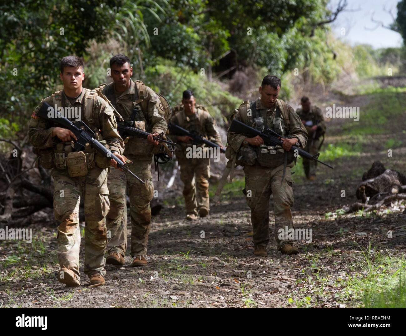 Tropic Lightning Week Stock Photos & Tropic Lightning Week Stock Images ...