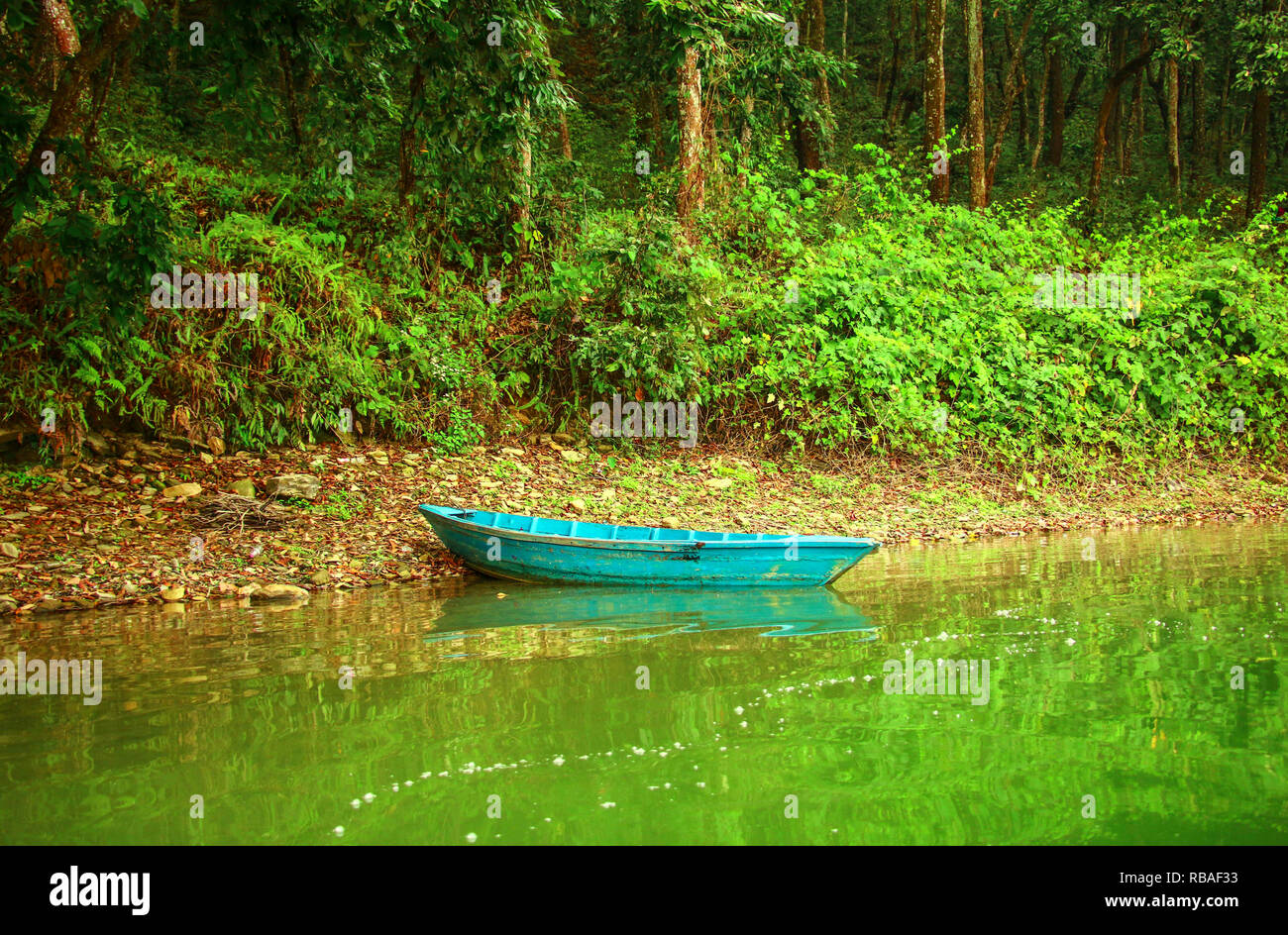 Old boat at the Phewa lake in Pokhara, Nepal Stock Photo - Alamy