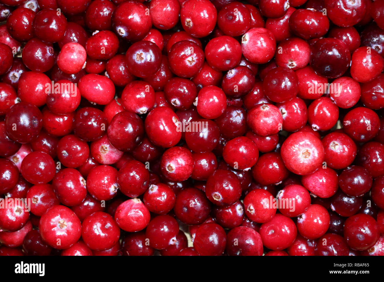 Red ripe cranberries background Stock Photo - Alamy