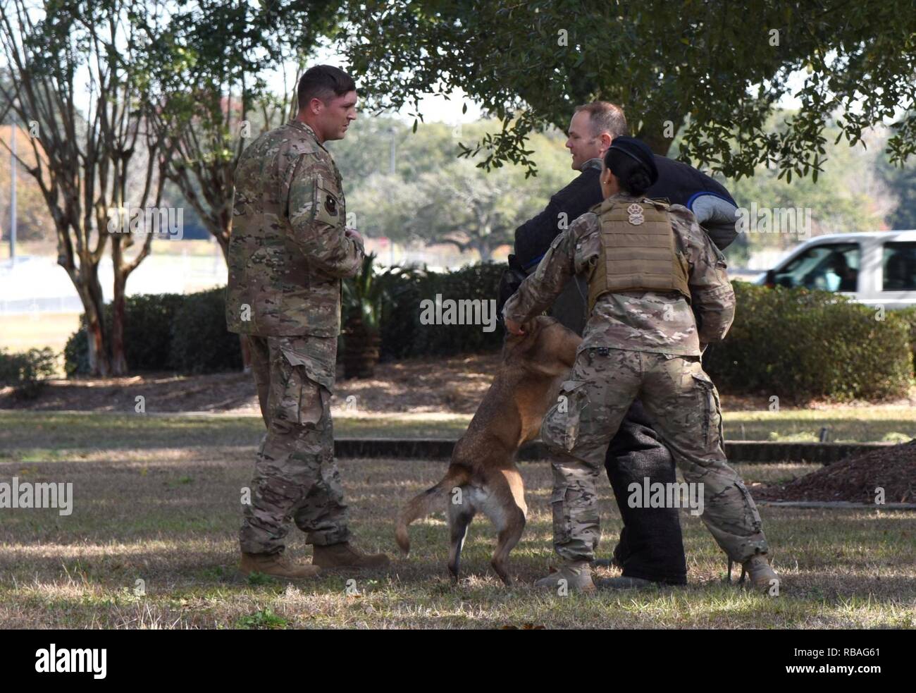 Are Dogs Allow In Us Air Force Base