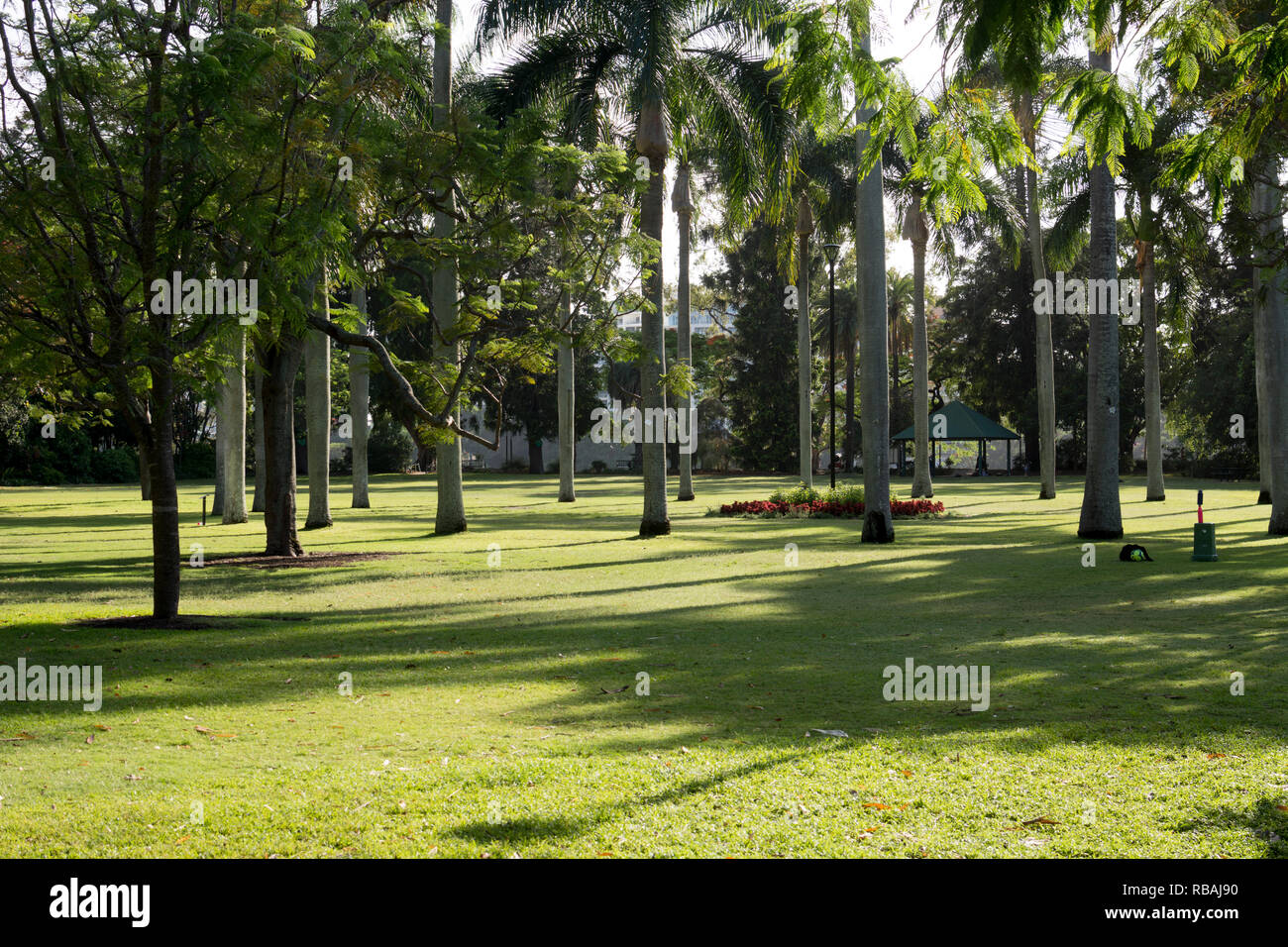 City Botanic Gardens, Brisbane, Queensland, Australia Stock Photo - Alamy