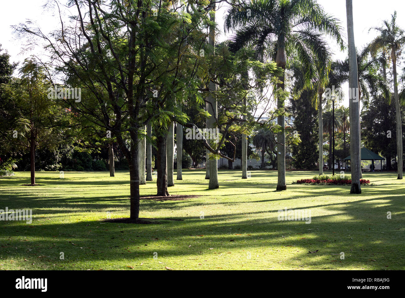 City Botanic Gardens, Brisbane, Queensland, Australia Stock Photo - Alamy