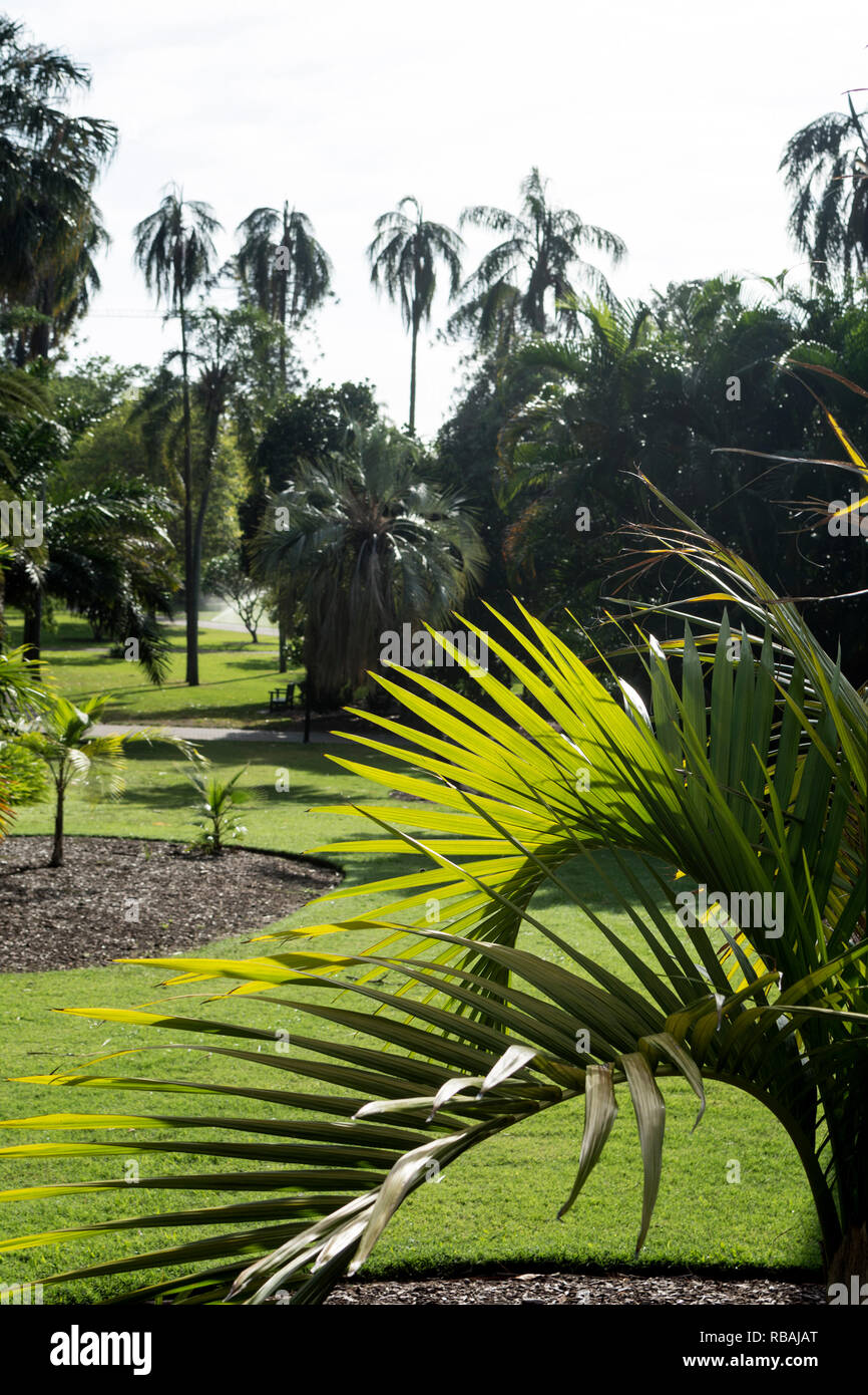 Brisbane city botanic gardens hi-res stock photography and images - Alamy