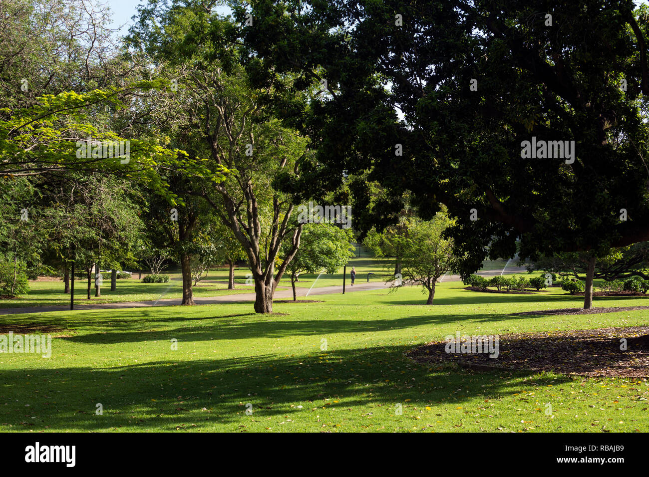 Brisbane botanical gardens hi-res stock photography and images - Alamy