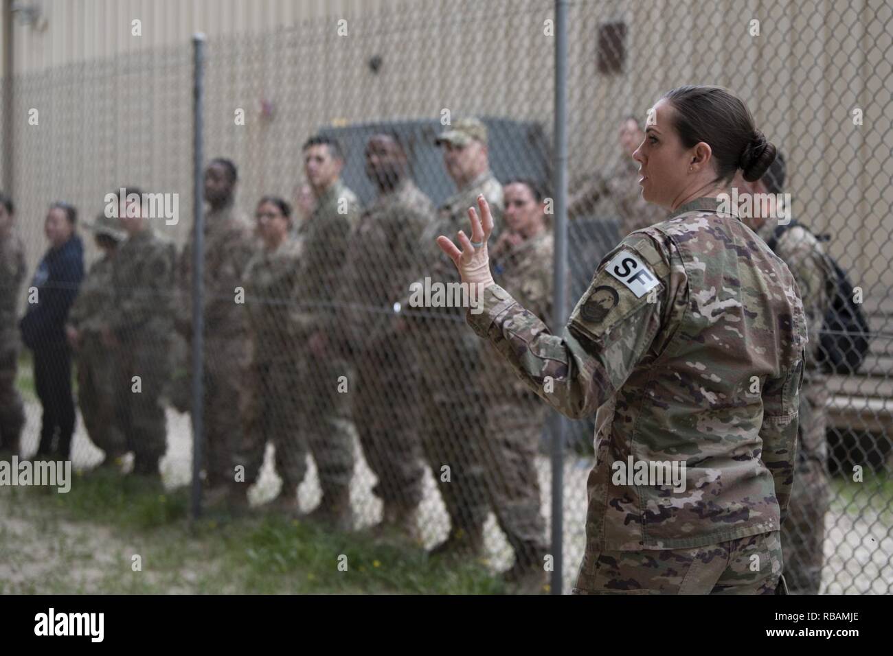 Kennel t hi-res stock photography and images - Alamy