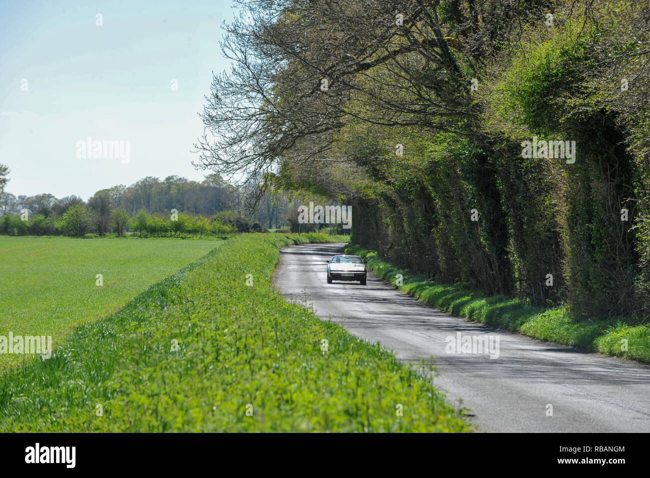 The first fuel injected Triumph TR8 sports car from 1980 Stock Photo ...
