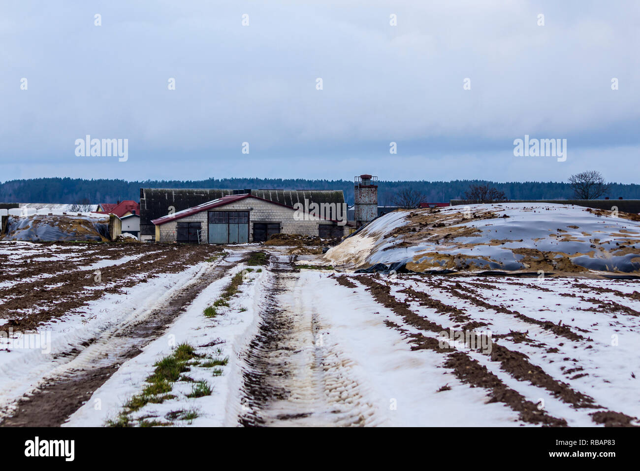 Cow dung road hi-res stock photography and images - Alamy