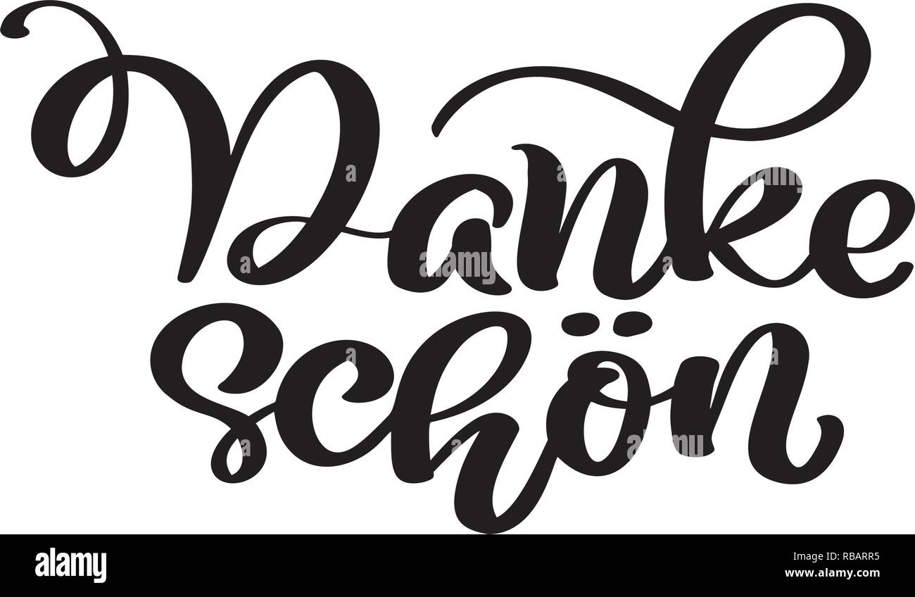 Vector hand drawn lettering Danke Schon. Elegant modern handwritten ...