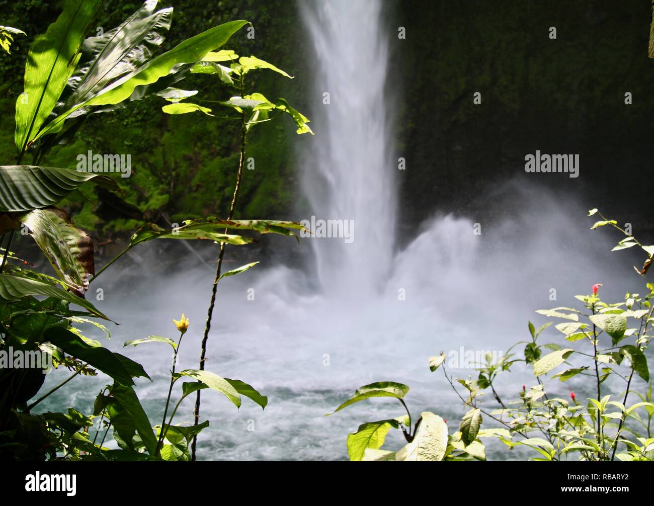 A high waterfalls spray as it hits the rock pool below in the jungles ...