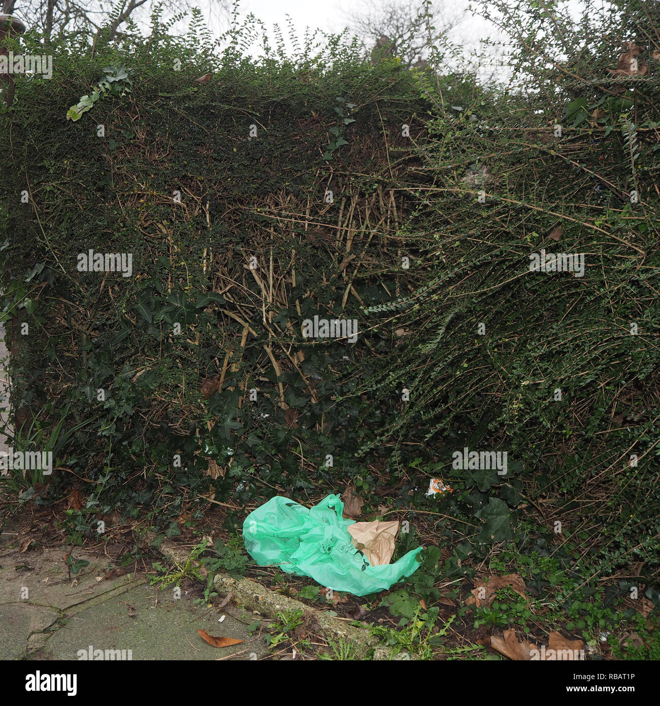 Empty drinks cans litter hi-res stock photography and images - Alamy