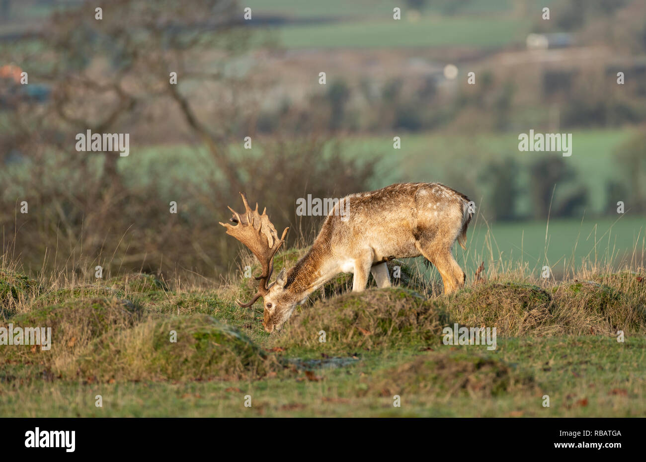 Sunshine gloucestershire hi-res stock photography and images - Alamy
