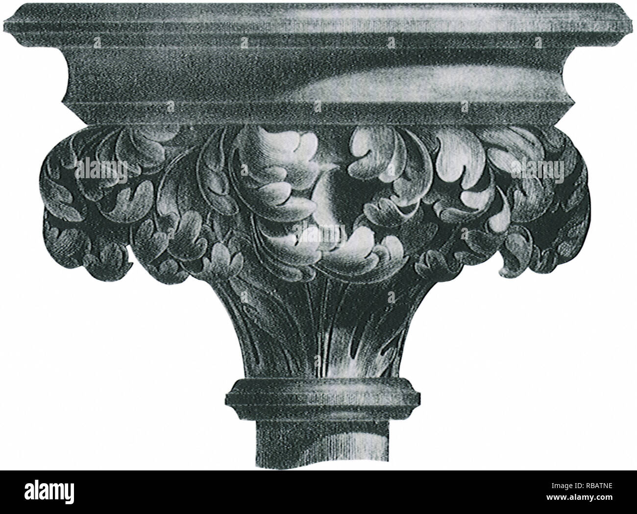 Fine art of leaf hi-res stock photography and images - Alamy