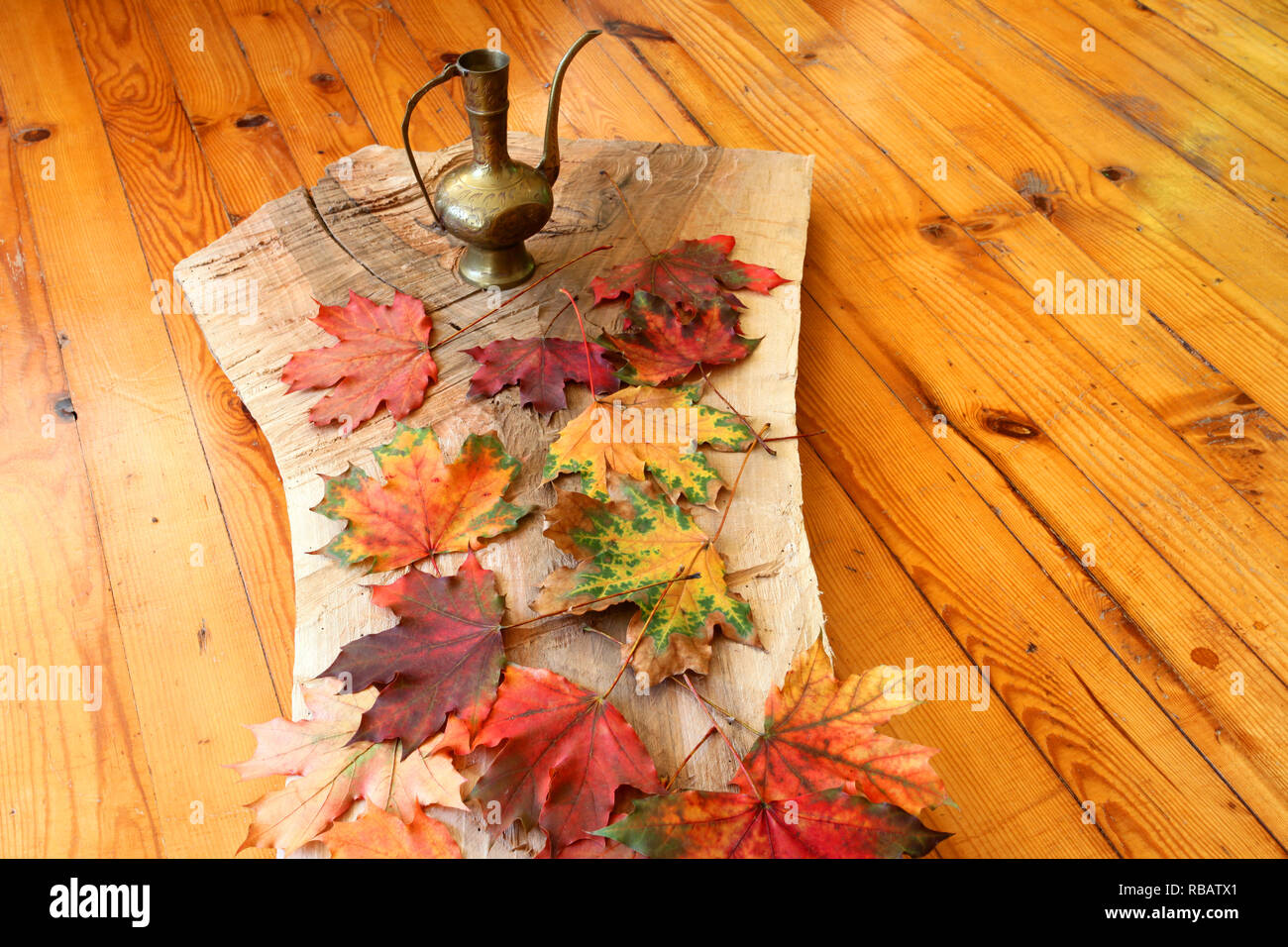 Colorful autumn leaves of Canadian oak. An old copper pot on a wooden ...