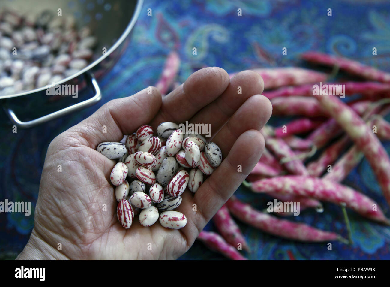 Cooking, Beans Coconut Flambo Stock Photo - Alamy
