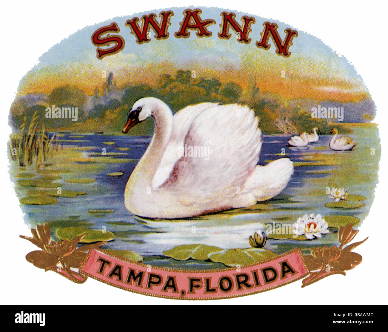 Vintage swans hi-res stock photography and images - Alamy