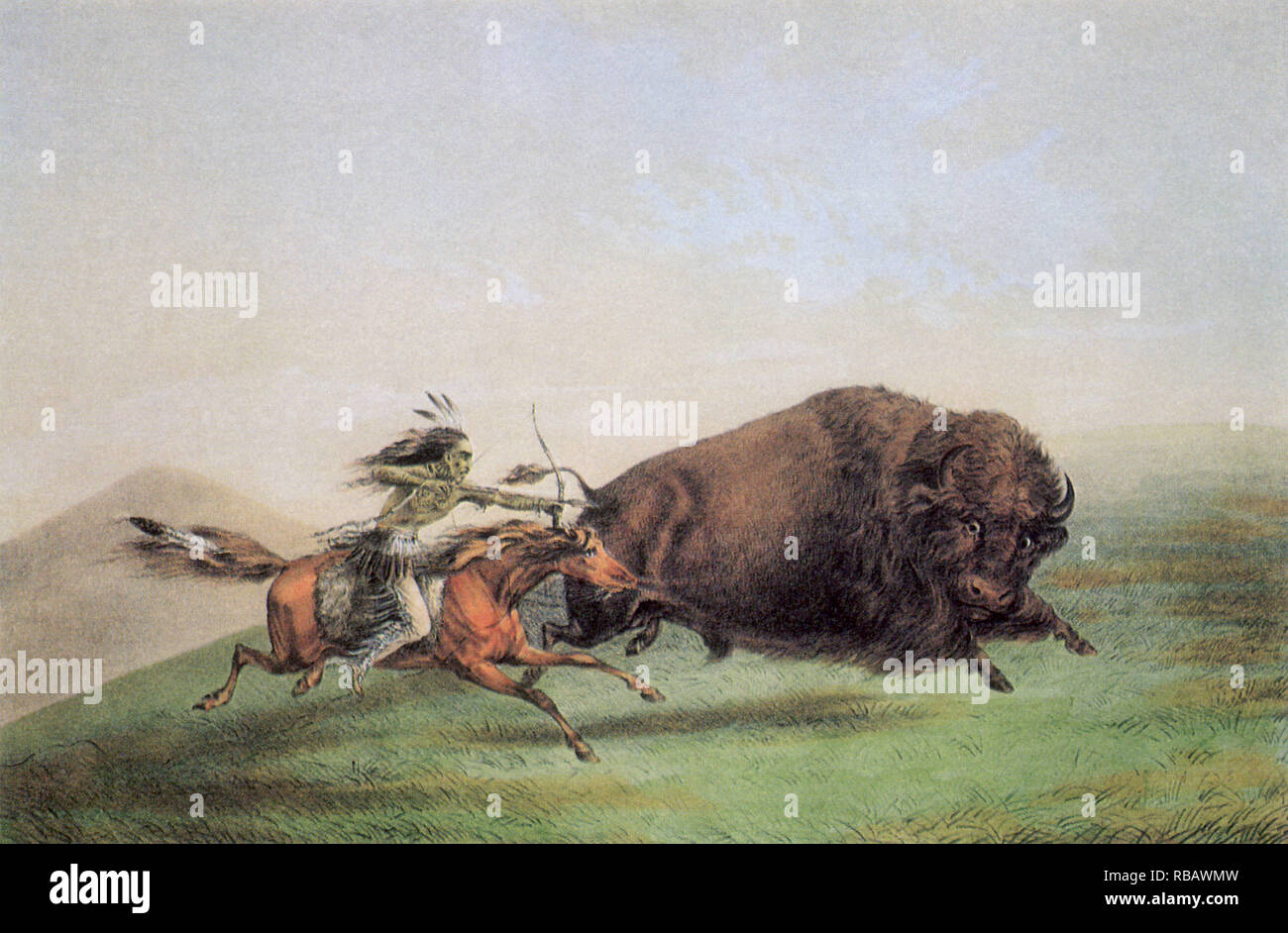 White buffalo and native american hi-res stock photography and images ...