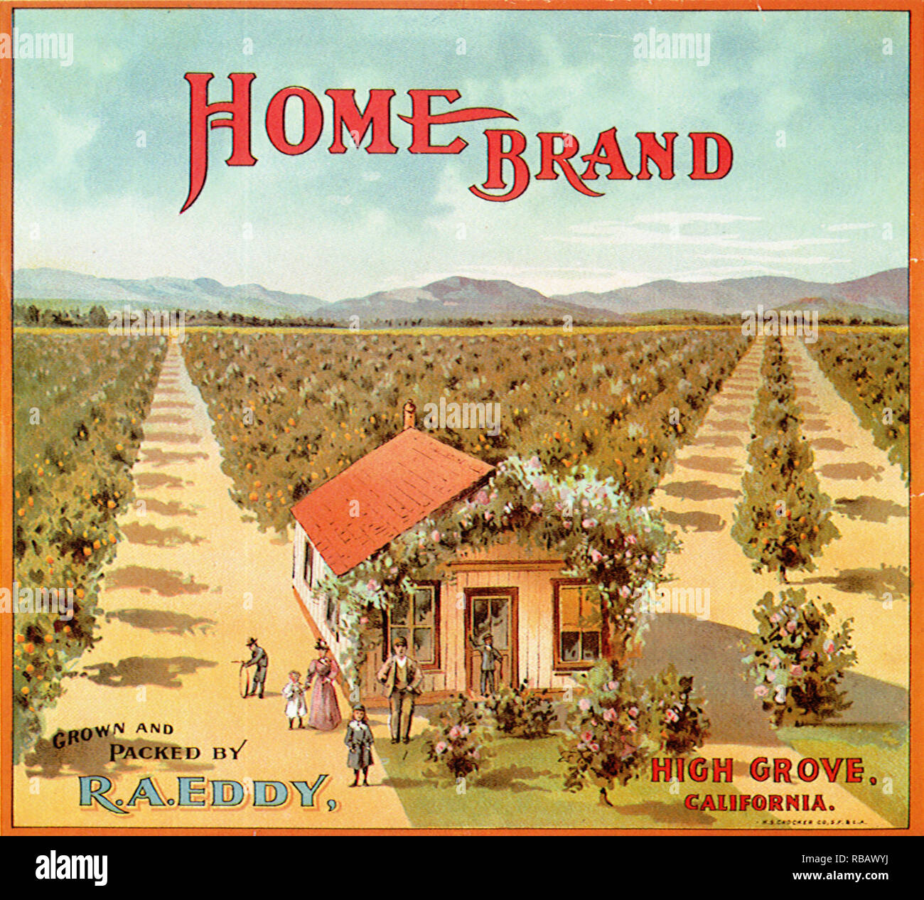 House in Orange Grove Stock Photo - Alamy