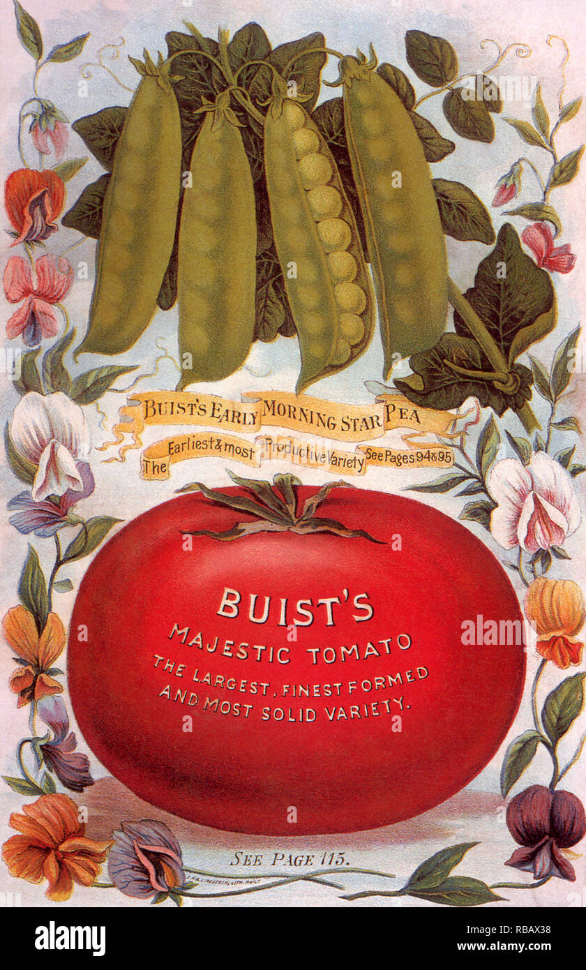 Pea pods-Red Tomato Stock Photo - Alamy