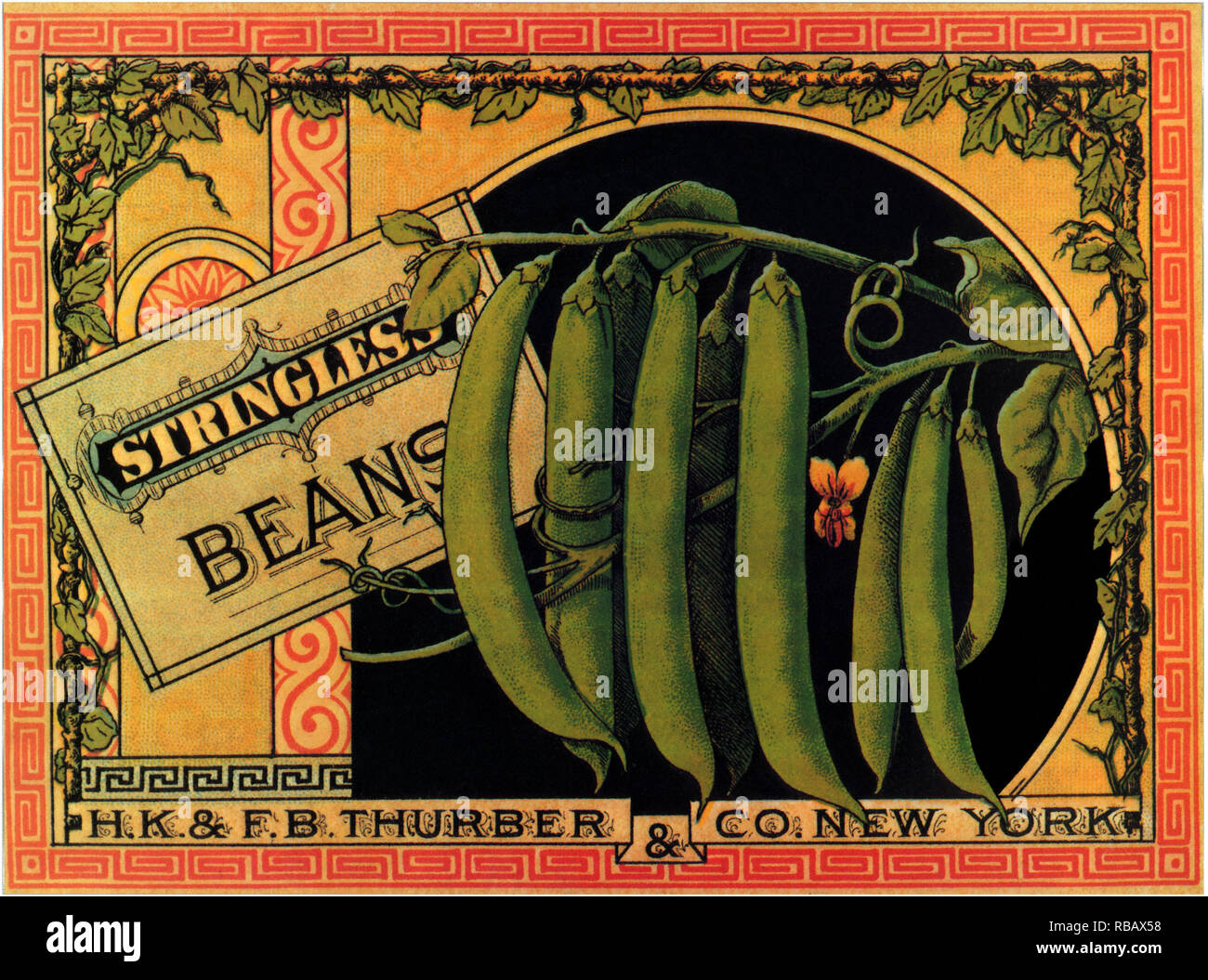 String beans illustration hi-res stock photography and images - Alamy