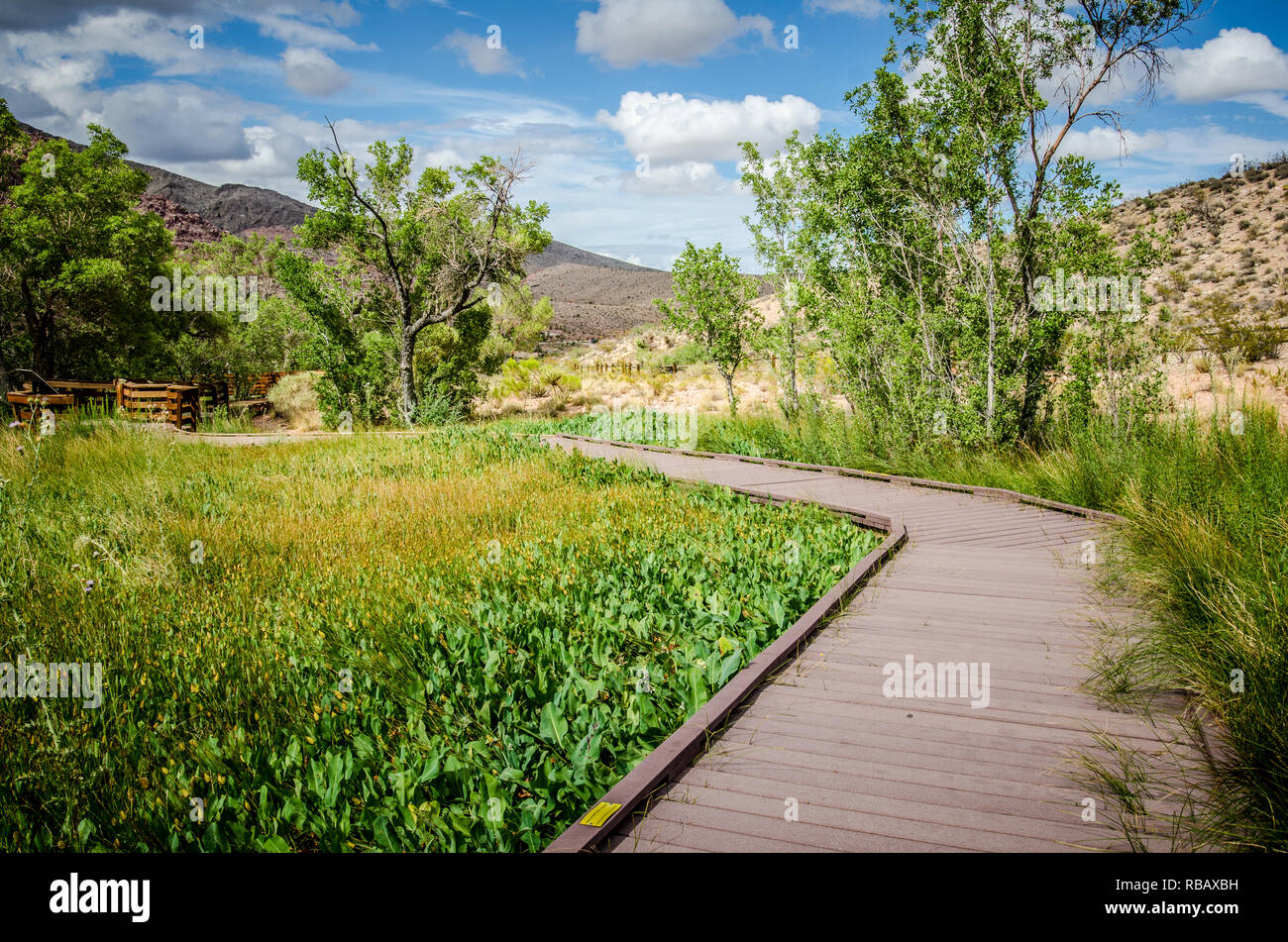 Calico basin trail hi-res stock photography and images - Alamy