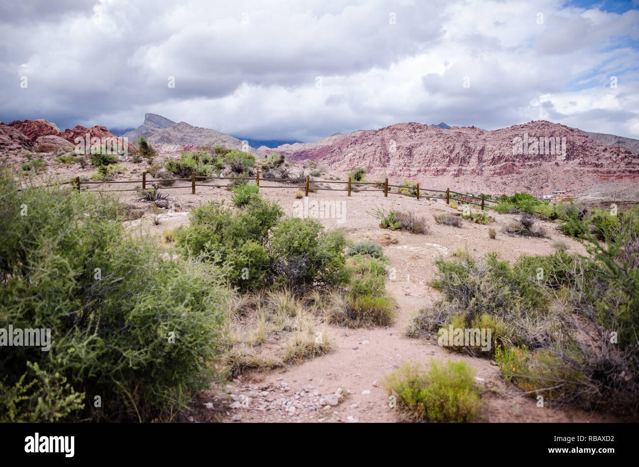 Calico Basin area of Red Rock Canyon National Conservation Area Stock ...