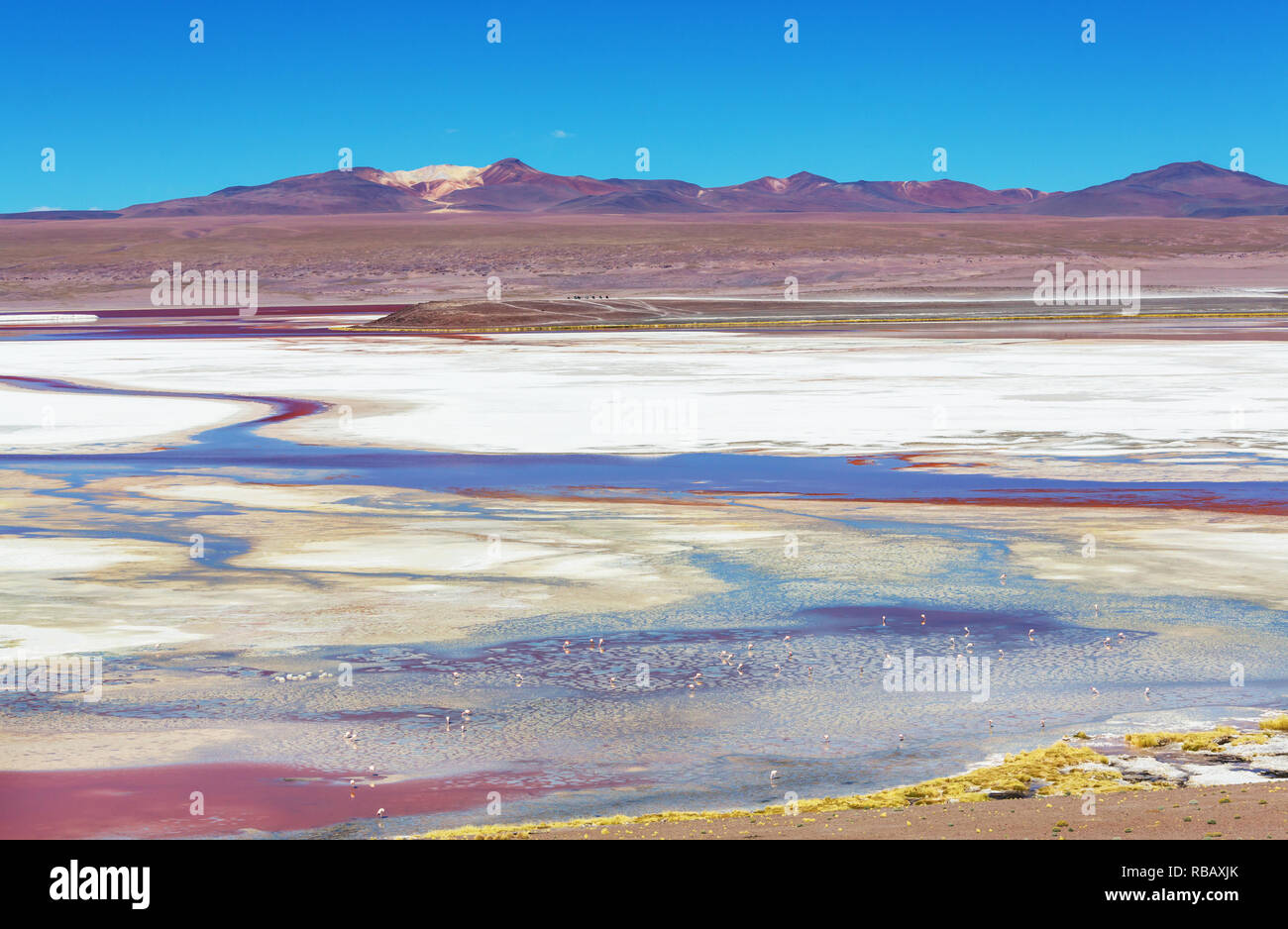 High snowy mountains in Bolivia Stock Photo - Alamy