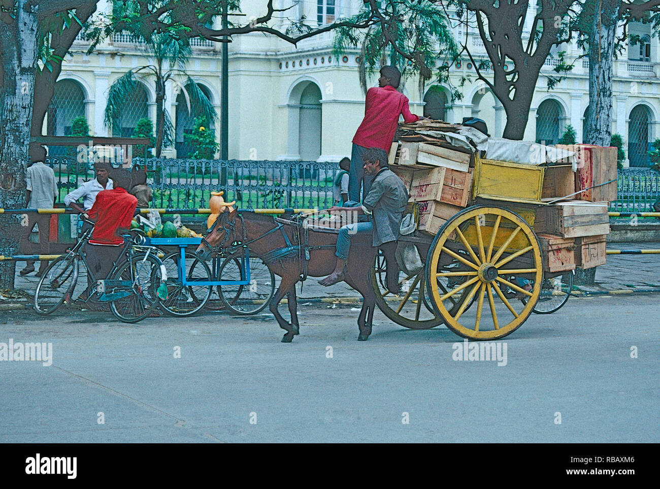 Horse cart india hi-res stock photography and images - Alamy