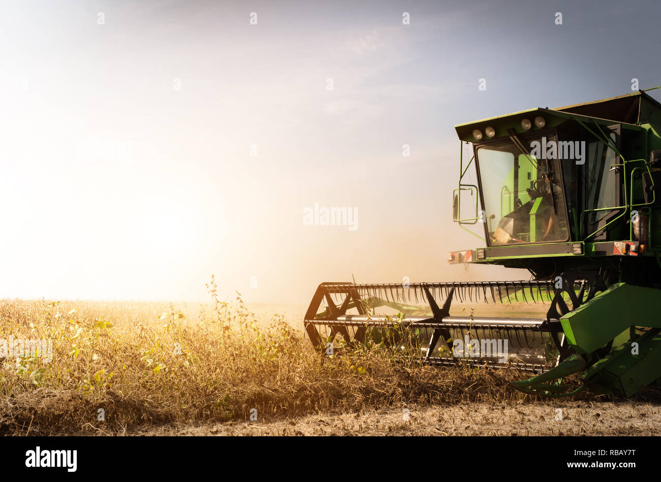 Harvesting of soy bean fields with combine Stock Photo - Alamy