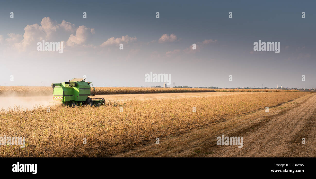 Harvesting soy bean fields hi-res stock photography and images - Alamy