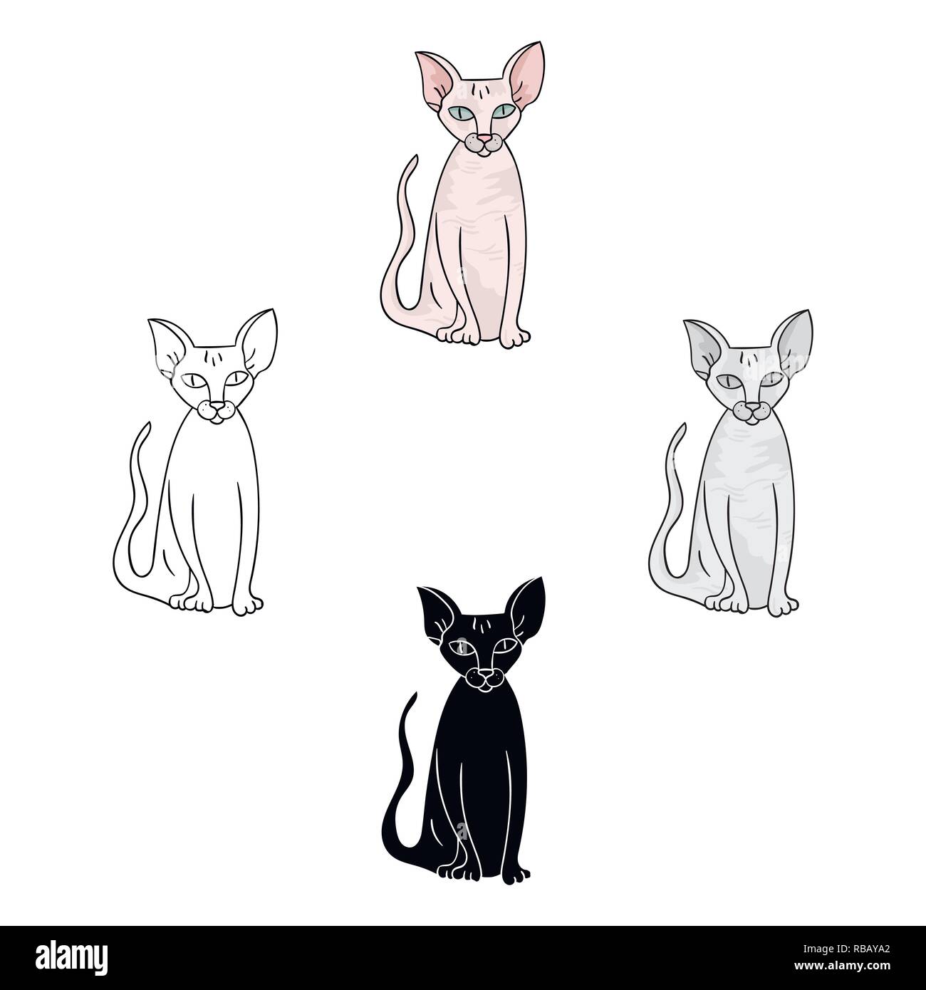 animal,art,background,breed,breeds,cartoon,cat,character,coon,cute ...