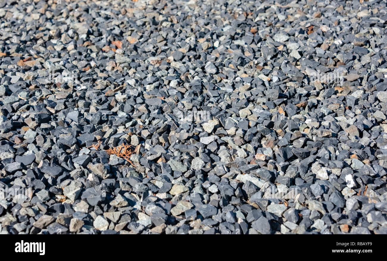Gravel stones texture background with shallow depth of field Stock ...