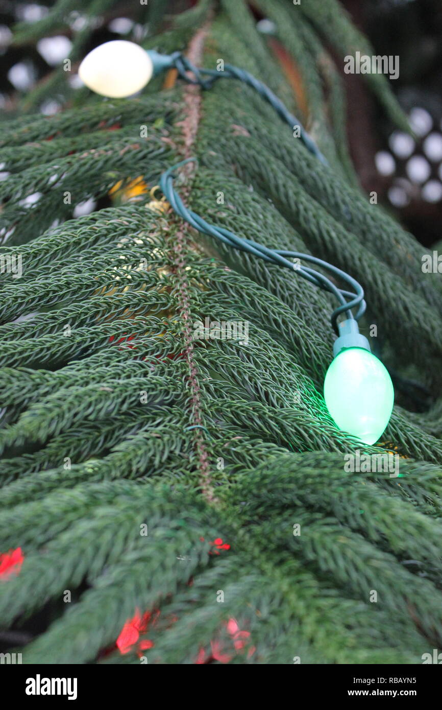 Interesting green christmas tree hi-res stock photography and images ...