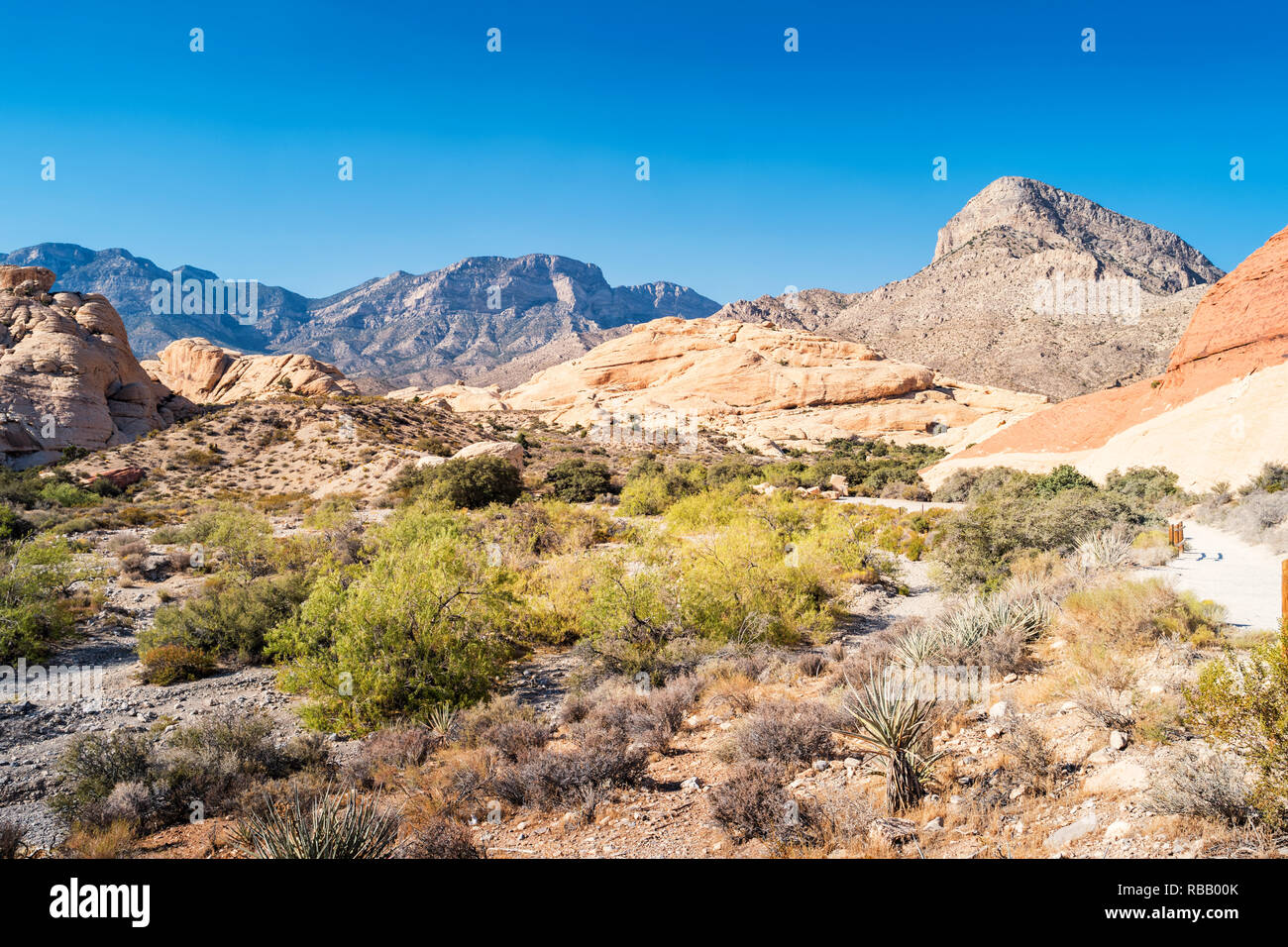 Red Rock Canyon National Conservation Area in Las Vegas, Nevada, USA ...