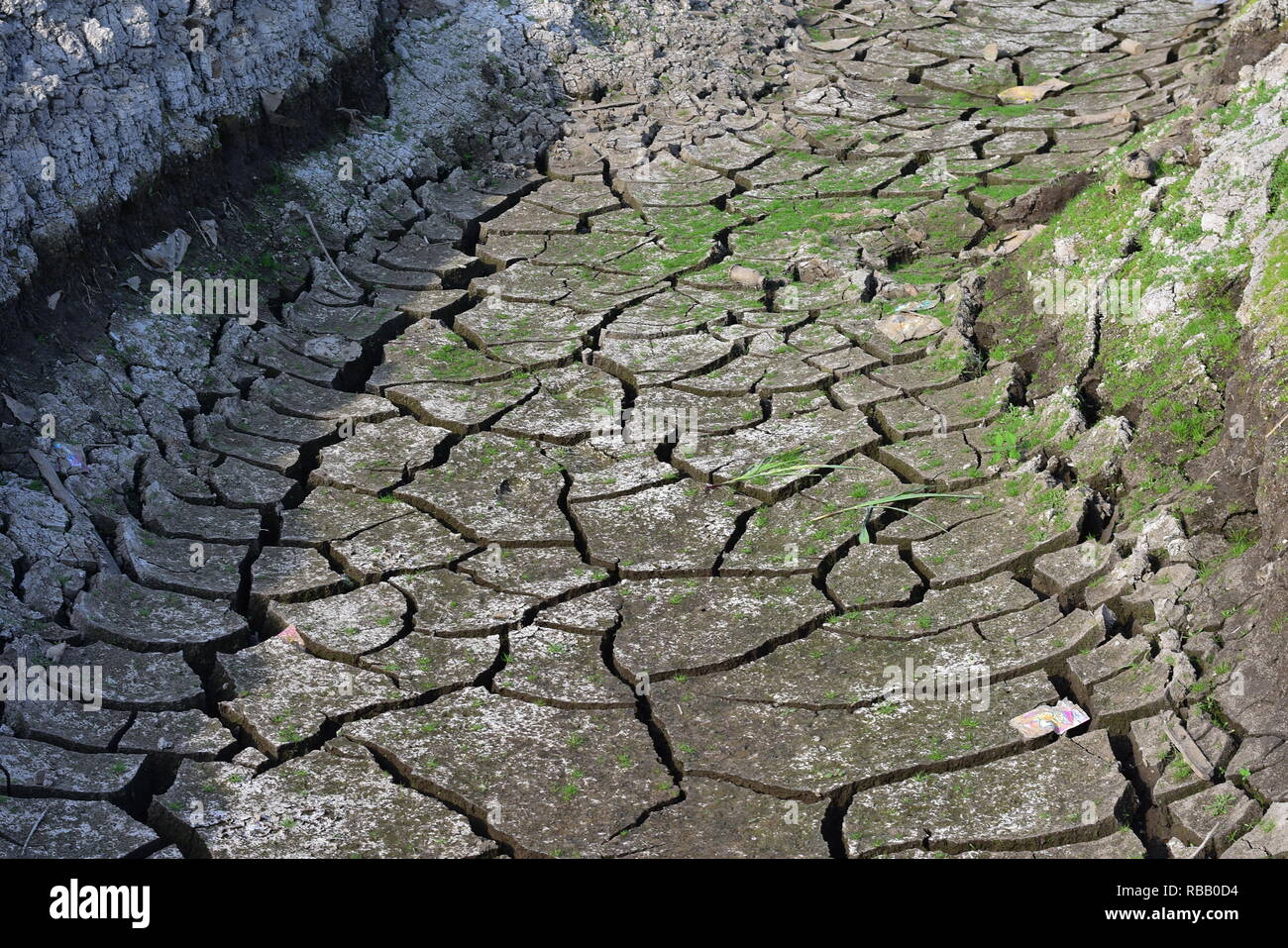 Dry season cracked ground and green grass Stock Photo - Alamy