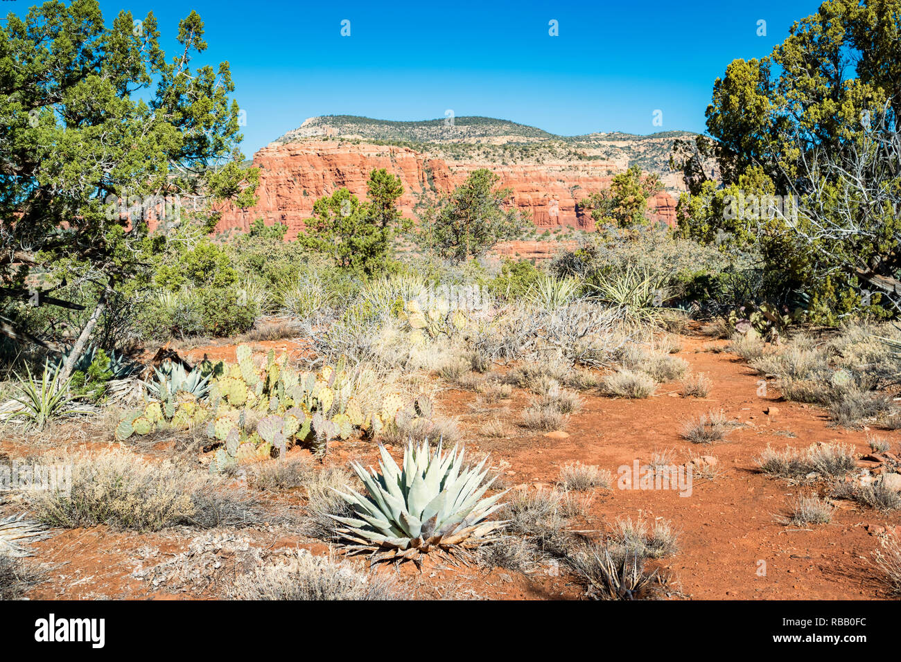 Top of Doe Mountain Trail in Sedona, Arizona, USA Stock Photo - Alamy
