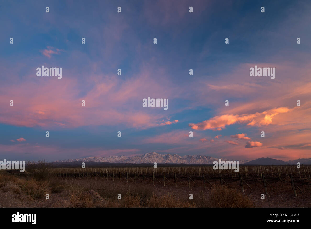 View of the Andes snow-capped mountain peak in the background and ...