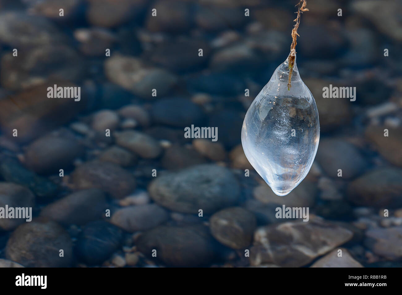 frozen water drop Stock Photo - Alamy